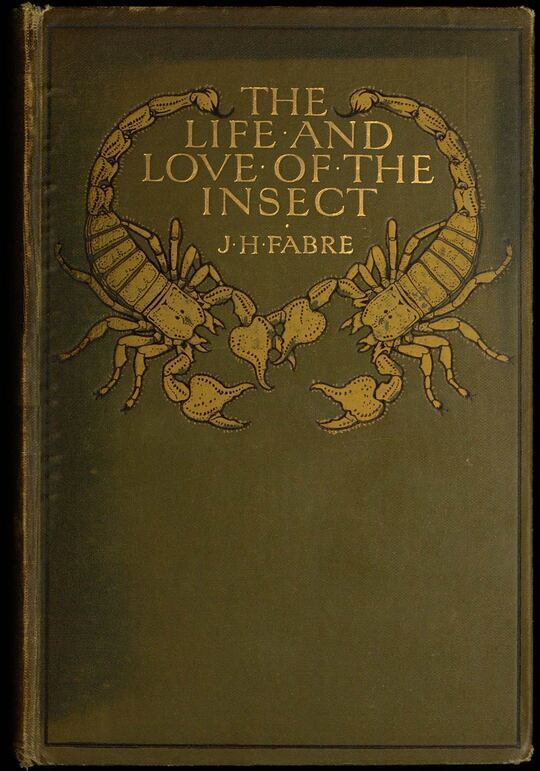 The Life and Love of the Insect by Jean-Henri Fabre | BookFusion